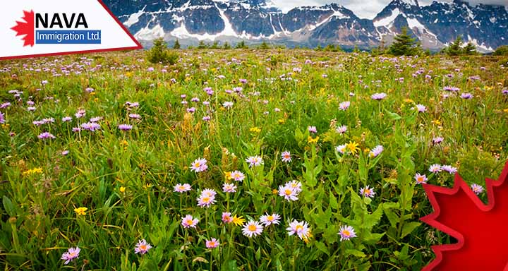 Eligible Occupations for Simplified LMIA Processing in Quebec