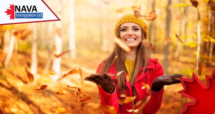 How To Get Money From Employment Insurance If You Are Laid Off