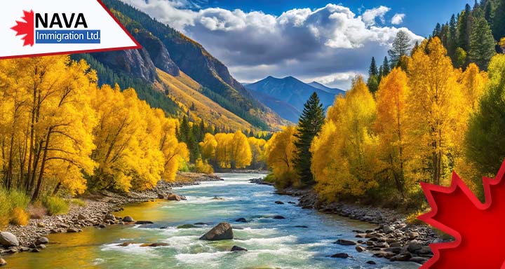 IRCC Issues 648 ITAs in the latest PNP-Only Express Entry Draw